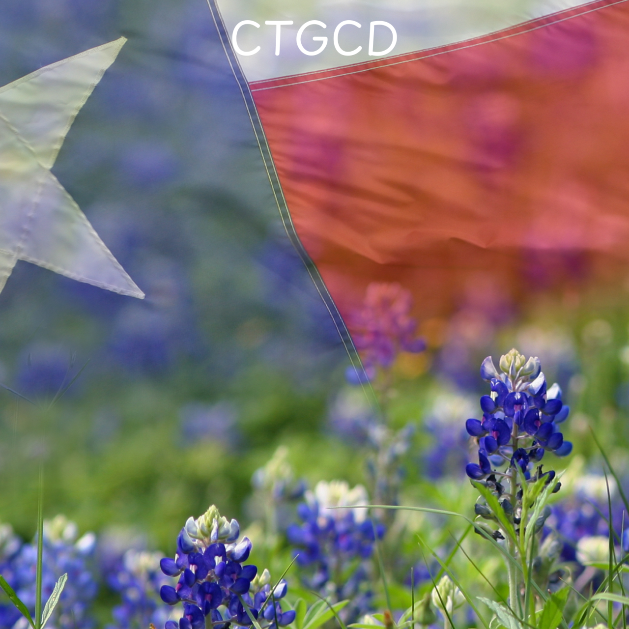 The Central Texas Groundwater Conservation District | Protecting and ...